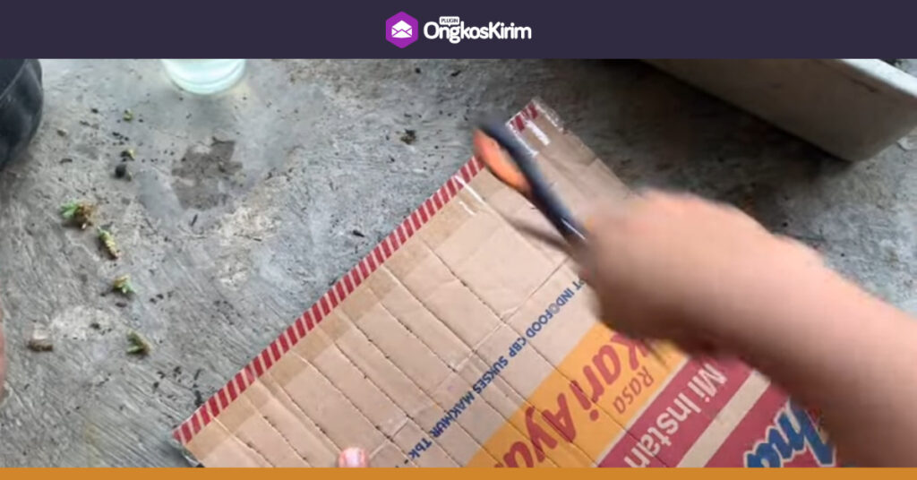 7 Cara Packing Tanaman Hias agar Tetap Segar hingga Tujuan - Plugin ...