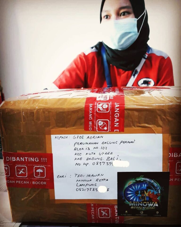 Cara Menulis Alamat Kirim Paket JNE yang Benar dan Sesuai Standar ...